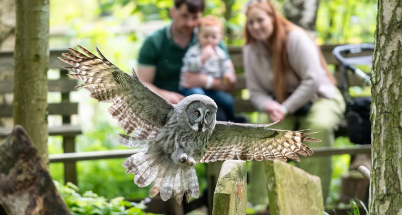 Even more Reasons to take Flight to the Hawk Conservancy Trust - Visit ...