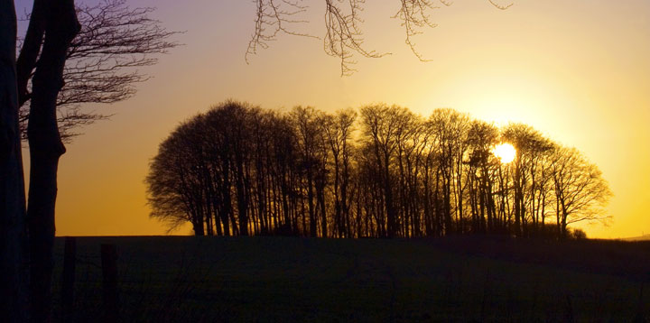 Marketing Update October 2016 - Visit Wiltshire