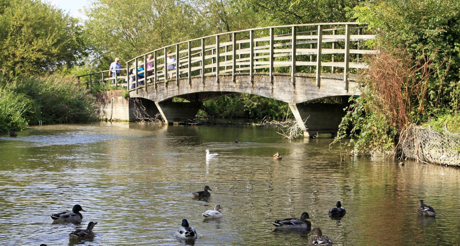 5 family walks to enjoy in the Salisbury area - Visit Wiltshire