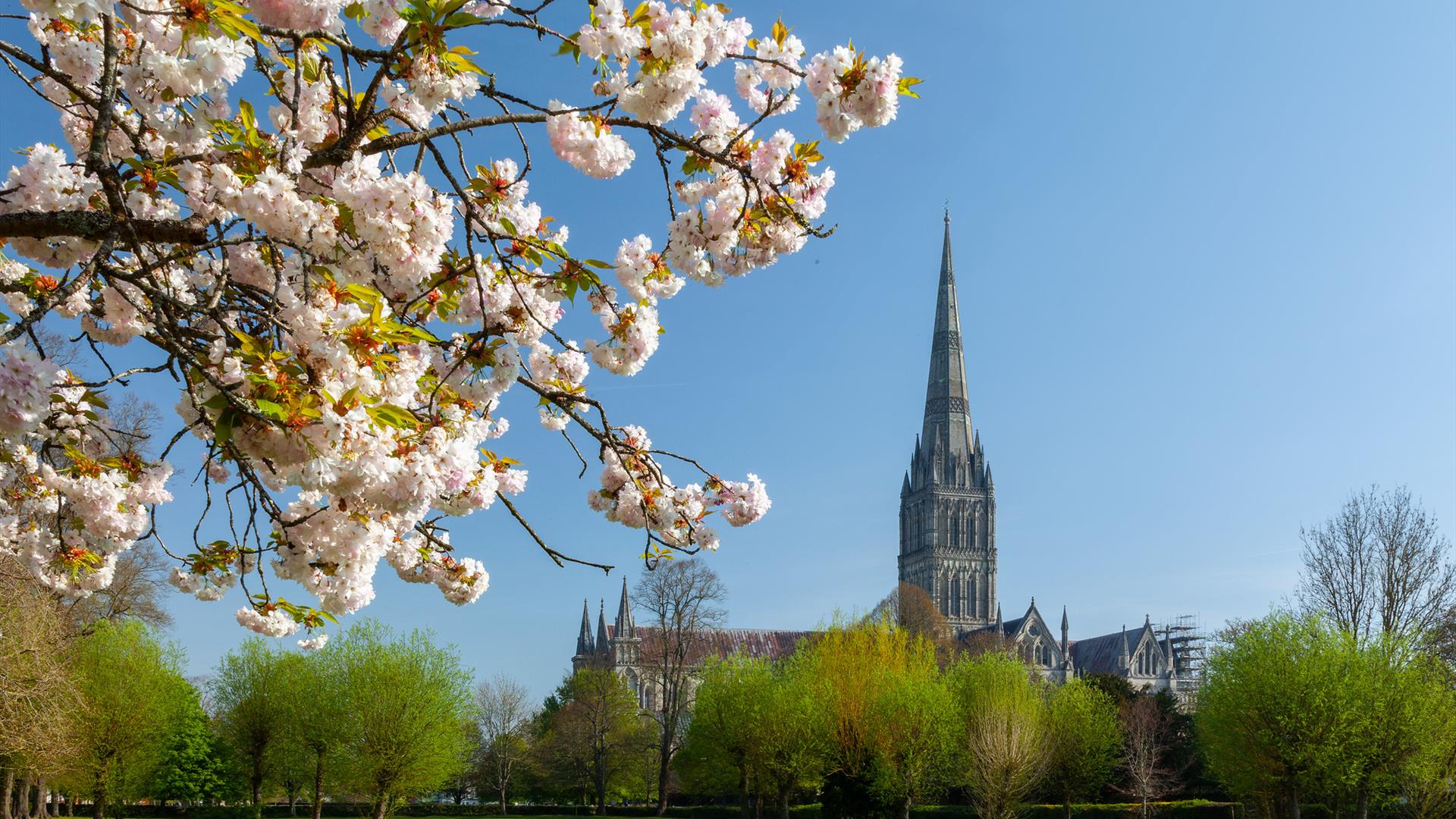 Visit Salisbury - Official Salisbury Tourist Information Site