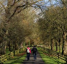 Visit Salisbury - Official Salisbury Tourist Information Site