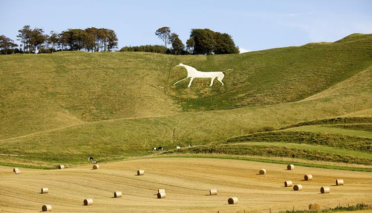 Cherhill White Horse - Visit Wiltshire