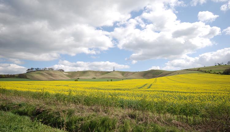 Cherhill White Horse - Visit Wiltshire