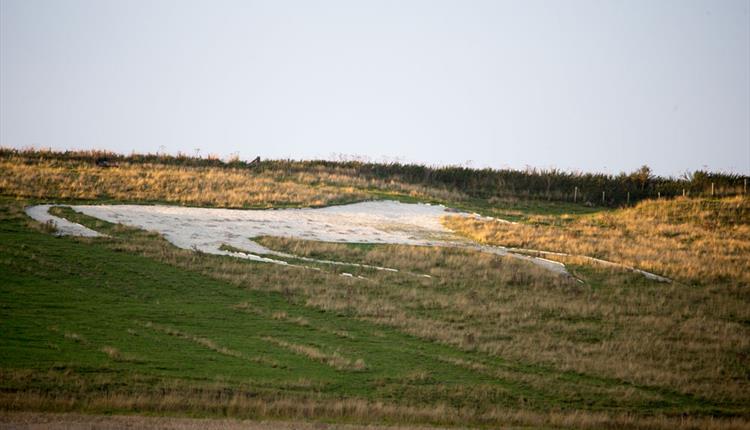Devizes White Horse - Visit Wiltshire
